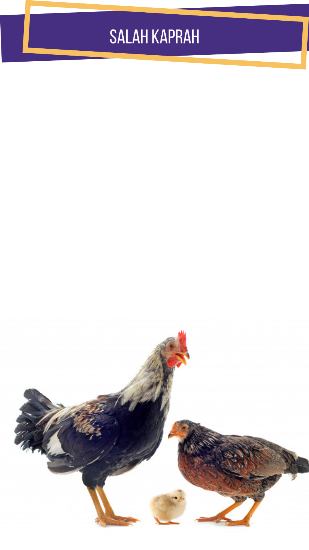 Ayam Broiler Disuntik Hormon? Aman Dikonsumsi Gak Sih? - FiberCreme